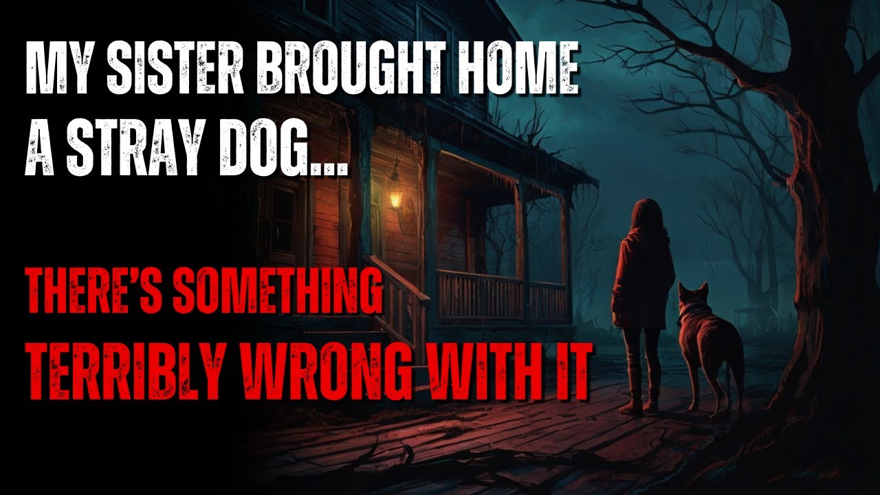 My sister's stray "dog" - Scary Story - YouTube