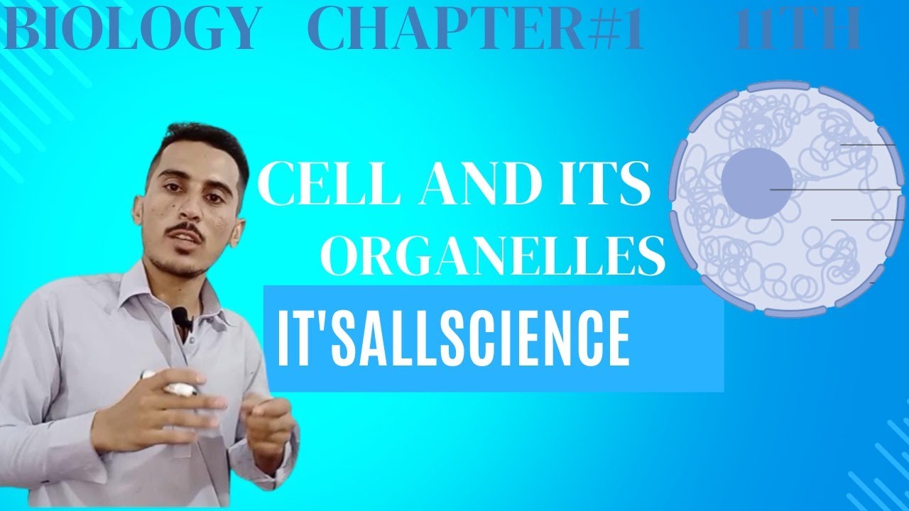 Cell and its organelles || Nucleus, RER, and SER, || #cellorganelle # ...