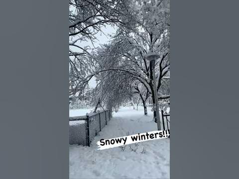 It’s snow time!!! #snowfall #snowtime #canada #montreal #shortsfeed # ...