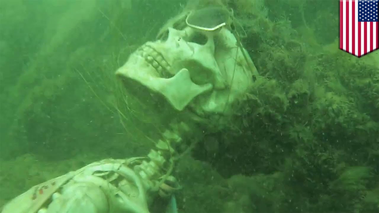 Underwater Practical Joke: Skeletons having tea at the bottom of ...