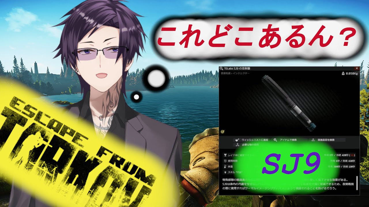 【タルコフ EFT】 SJ9を求めて三千里 【NIKA】 - YouTube