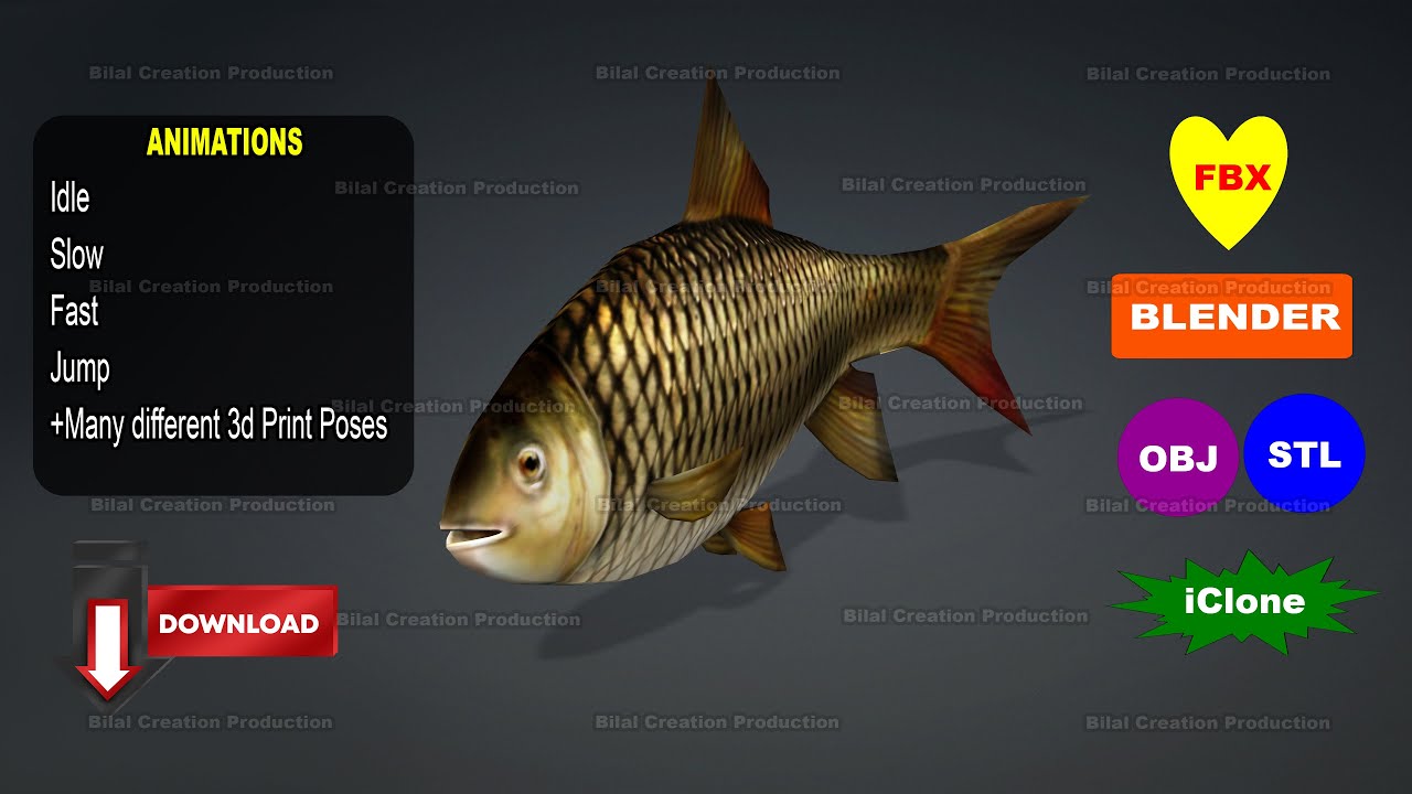 ANIMATED FISH 3D MODEL | BILAL CREATION PRODUCTION - YouTube