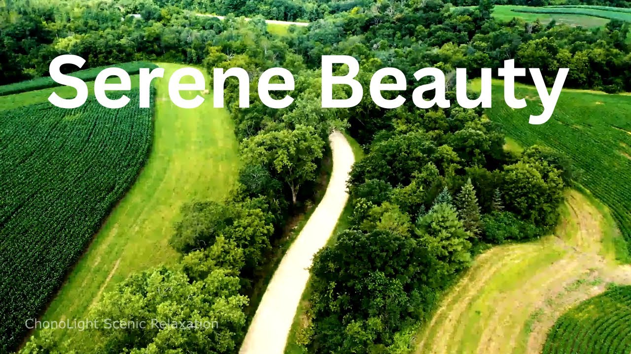 "The Art of Nature: Captivating Scenes for a Calm Mind" - YouTube