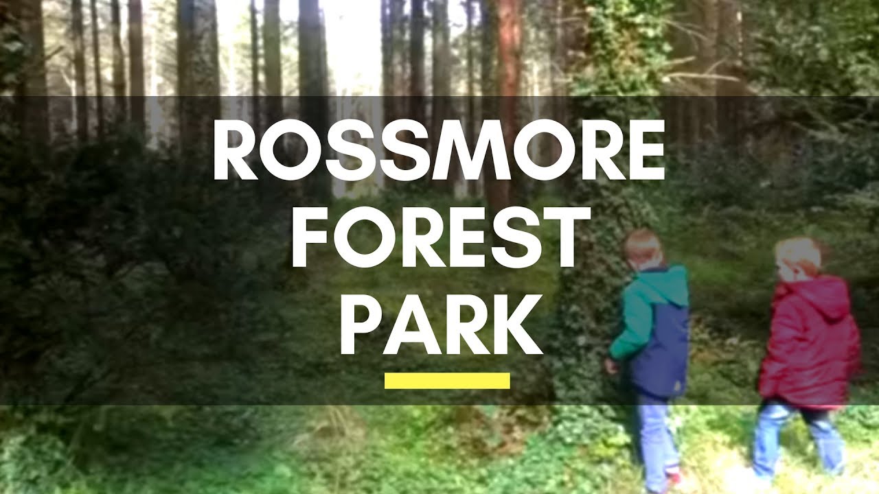 Rossmore Forest Park - Monaghan - County Monaghan - Ireland - YouTube