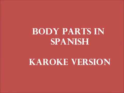 Body Parts Song in Spanish - YouTube
