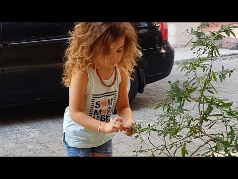 Emanetin yeni sezon küçük oyuncusu..