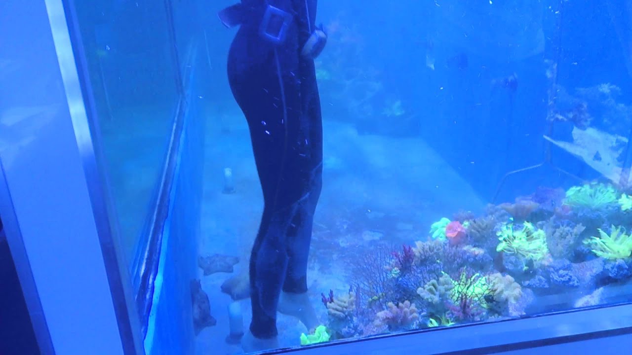 Getting fish out of our tank sure it fun lol - YouTube