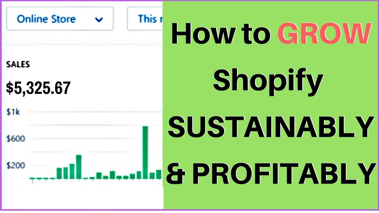 How to GROW Your Shopify Business SUSTAINABLY & PROFITABLY 📈 - YouTube