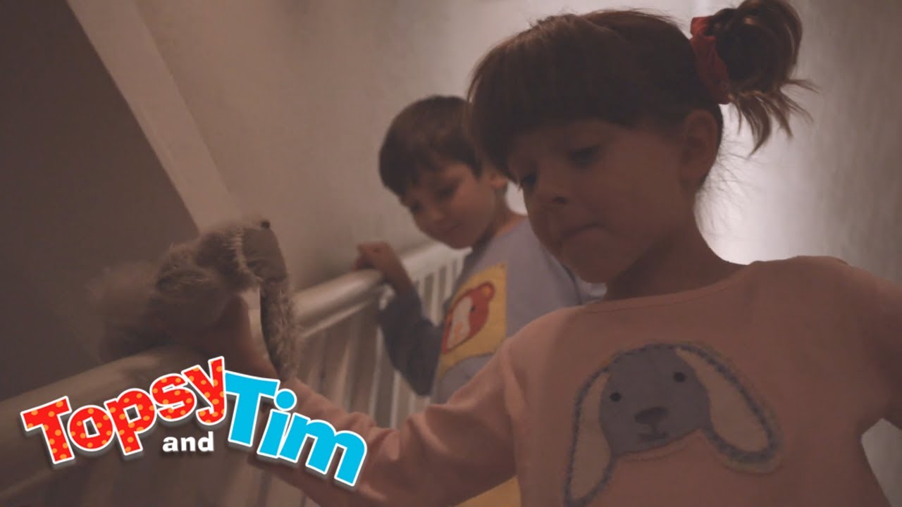 Wide Awake | Topsy & Tim | Live Action Videos for Kids | WildBrain Live ...