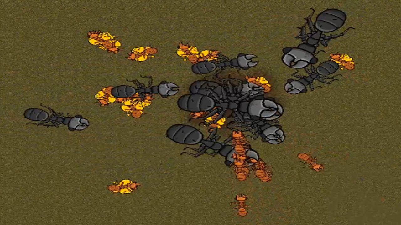 ant war simulator lite - YouTube
