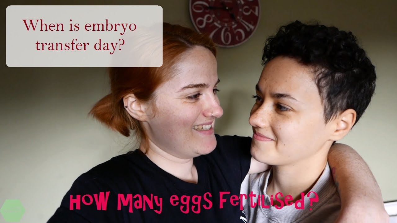 Our Embryo Development | IVF Cycle 1 | Same Sex Couple - YouTube