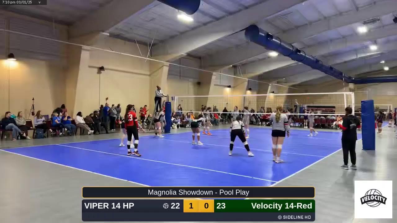 Velocity 14-Red vs. VIPER 14 HP (2025.03.01) - YouTube