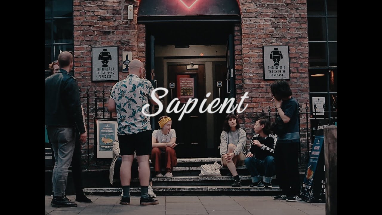 Sapient - Drive Boy: Song Lyrics, Music Videos & Concerts