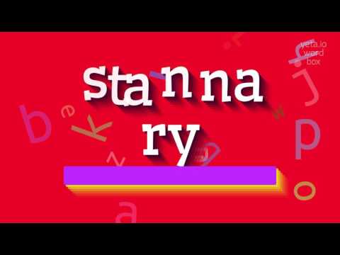 STANNARY - STANNARY NASIL OKUNUYOR?  #stannary (STANNARY - HOW TO PRONOUNCE STANNARY?