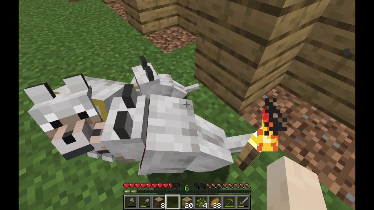 Grietas, llama asesina, nueva casa y mas | Minecraft Ep.-2 - YouTube