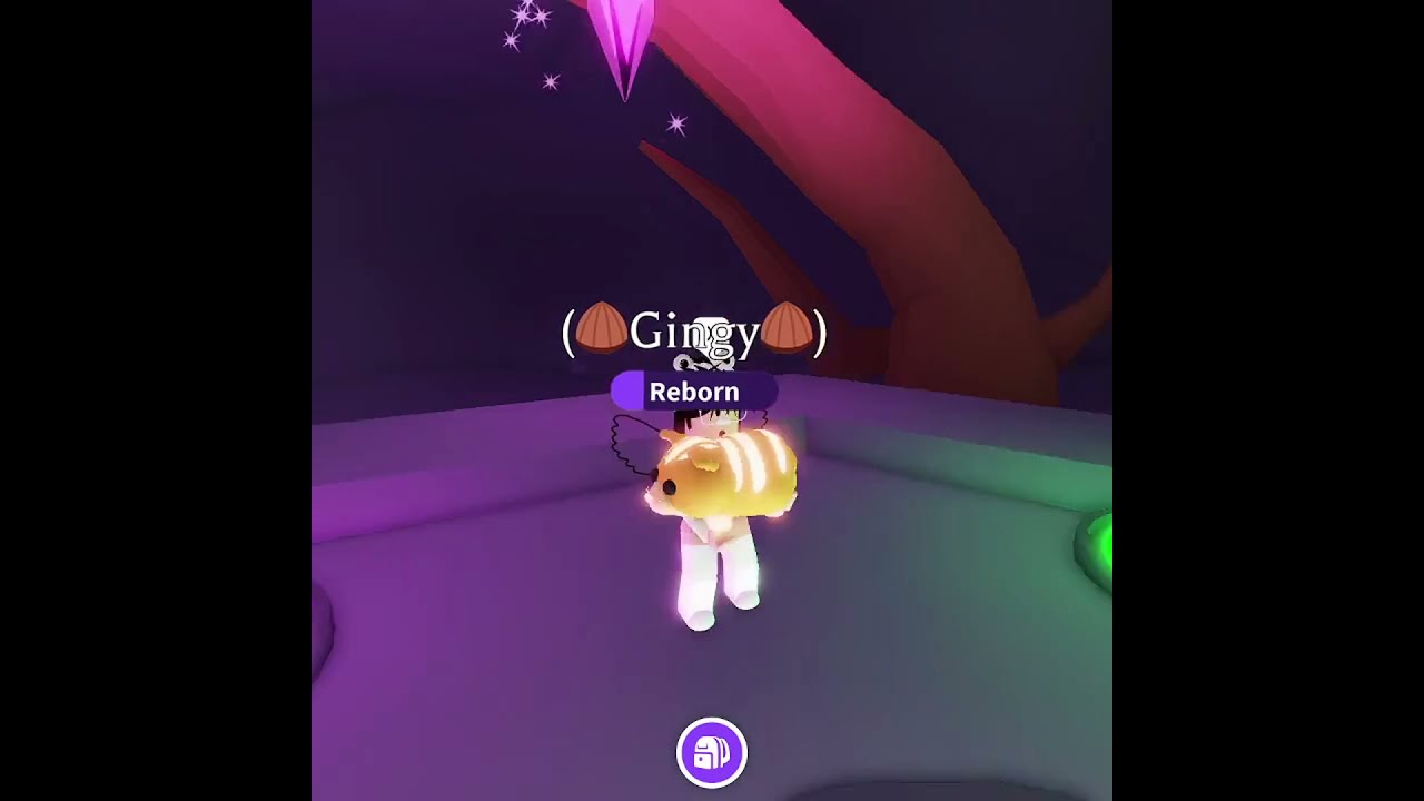 Making Neon Ginger Cat! - Adopt Me - YouTube