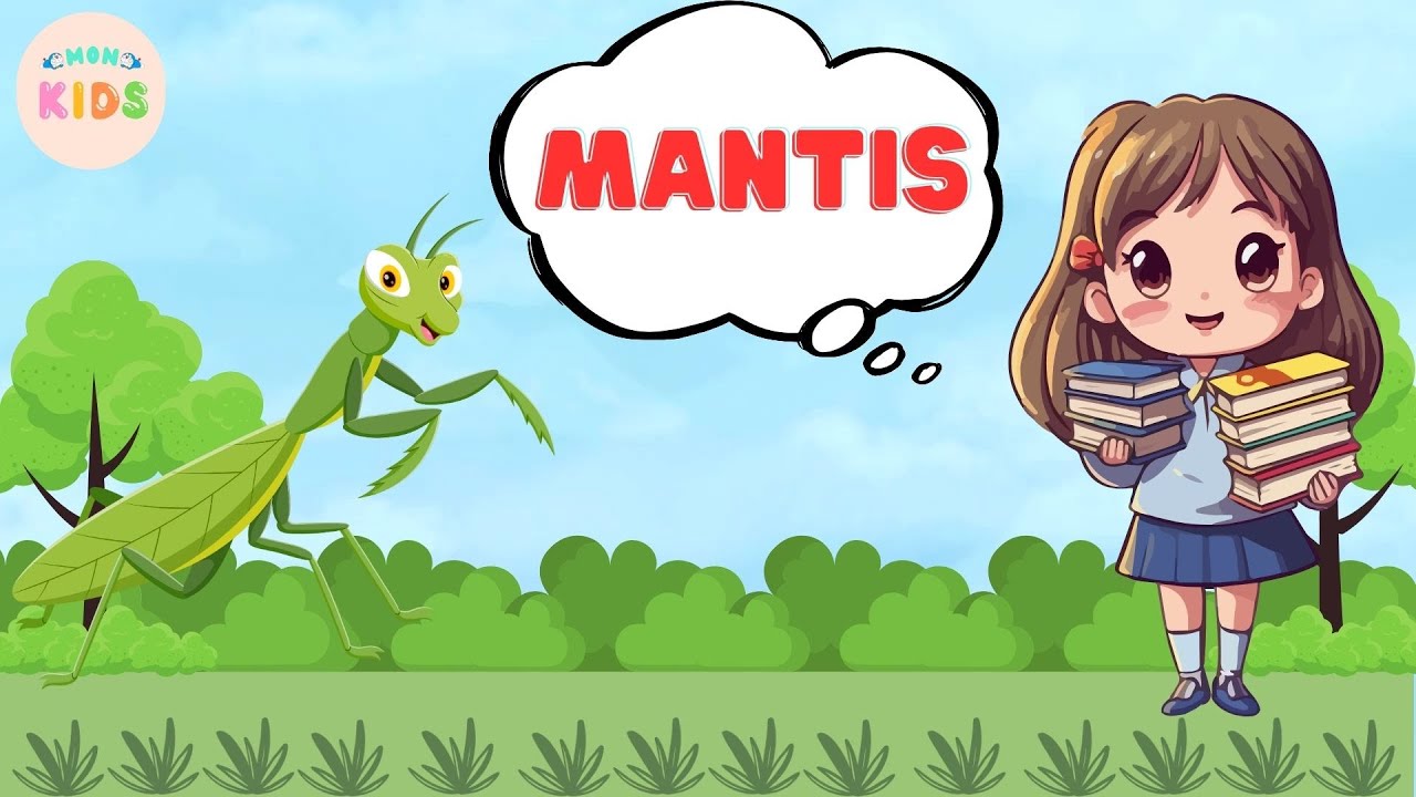 Mantis Facts For Kids 😊 Learn All About Mantises | MON Kids - YouTube