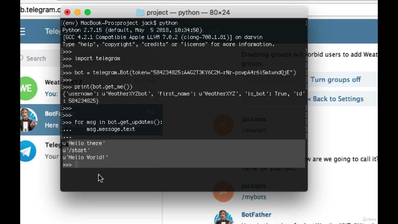 Lesson 5 Using Telegram API wrapper - Create Telegram Bot with Python - YouTube