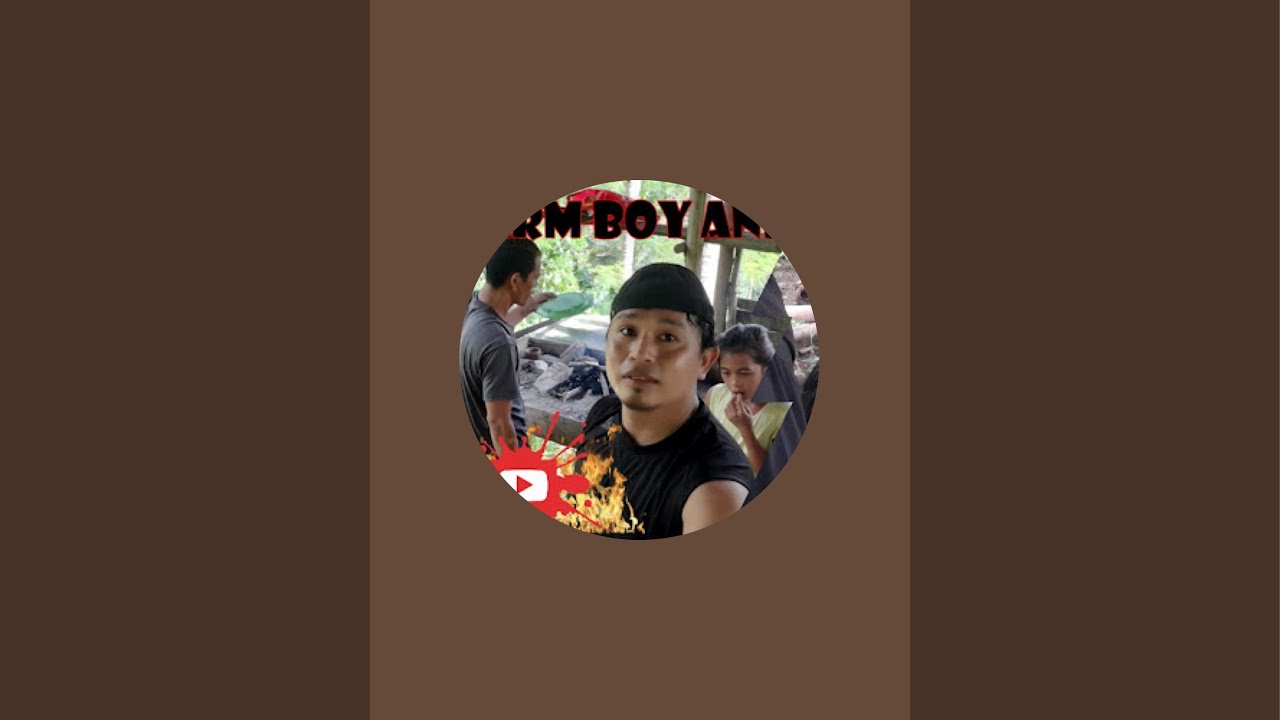 Harold tv bai official channel - YouTube