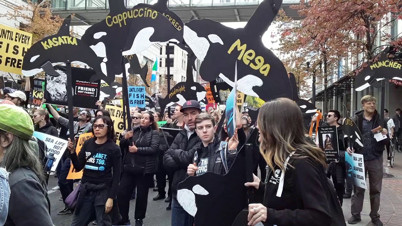 Portland oregon animal rights protest 2 - YouTube
