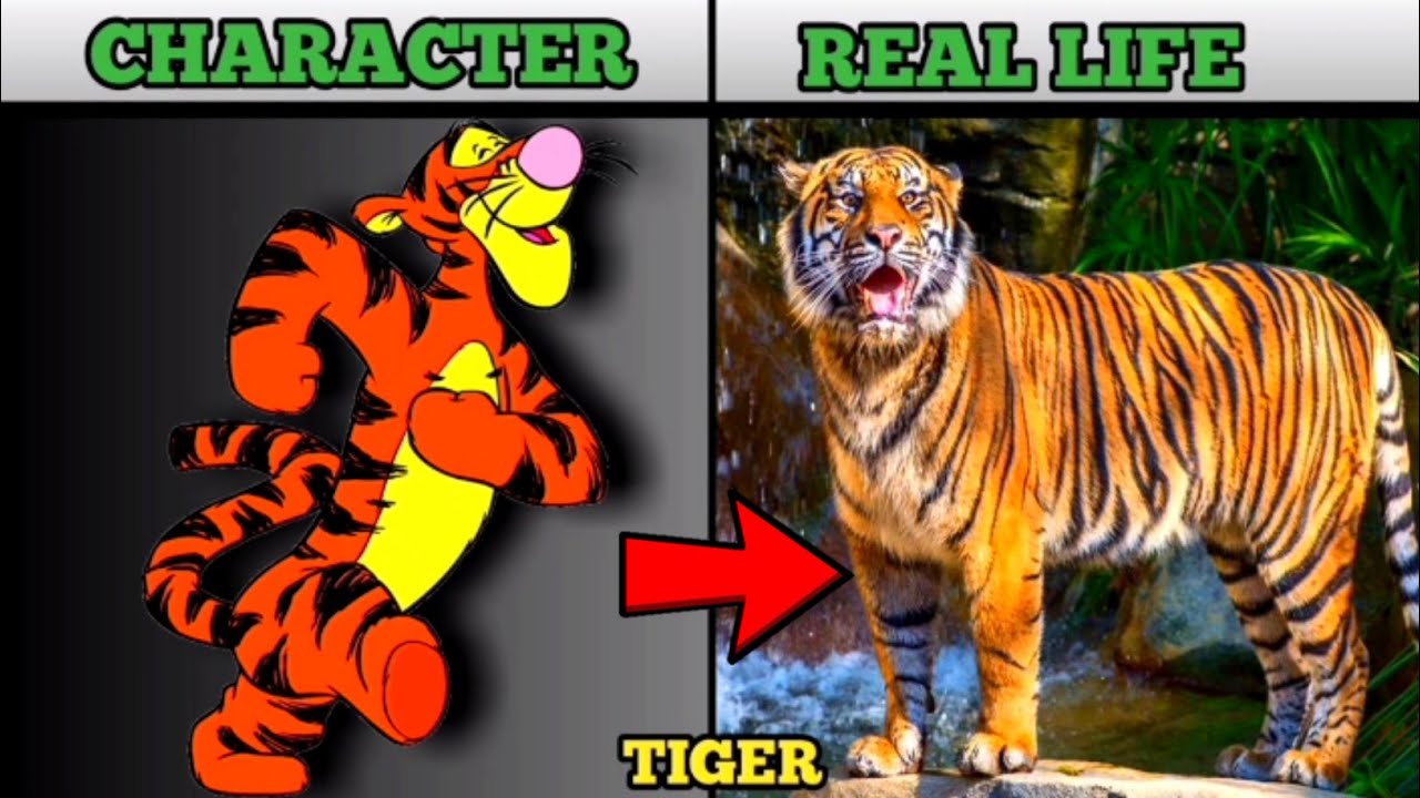 Winnie the Pooh characters in real life@plusshow510 - YouTube