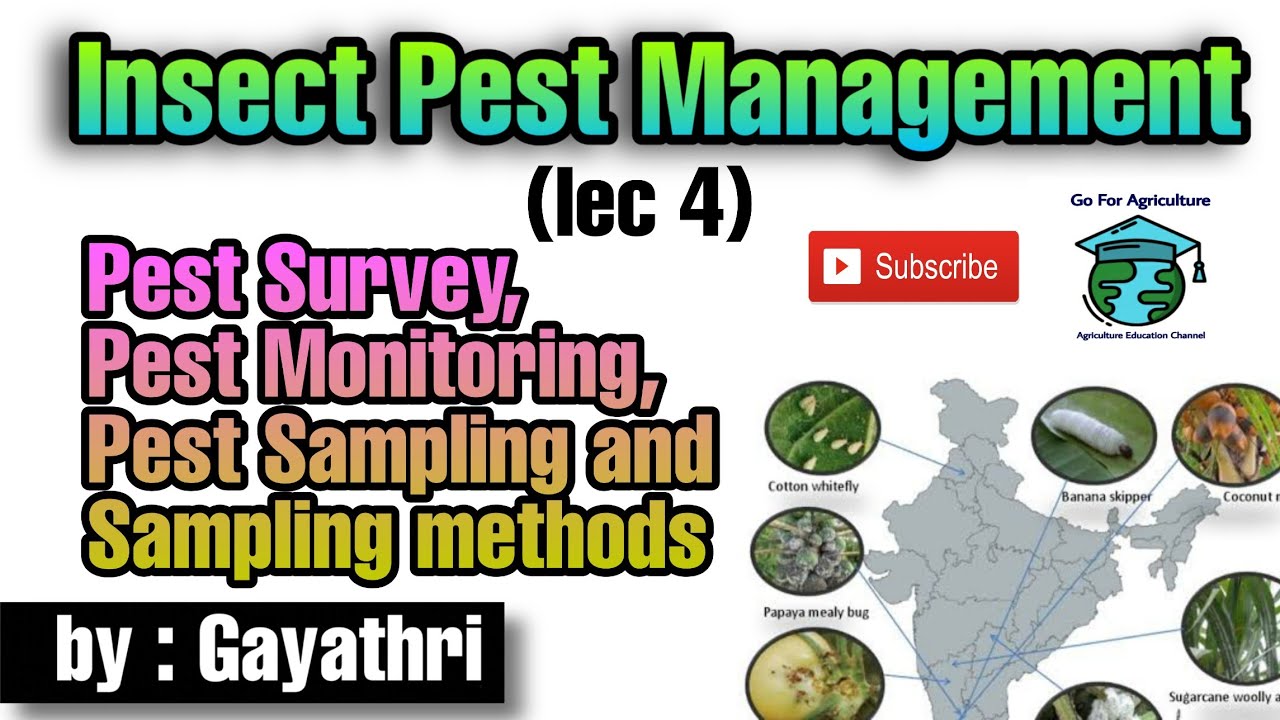 Pest Survey, Pest Monitoring, Pest Sampling and sampling methods | IPM ...
