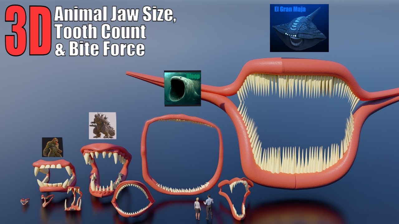 Animal, Dinosaur and Sea Monster Jaws Size Comparison: Tooth Count and ...