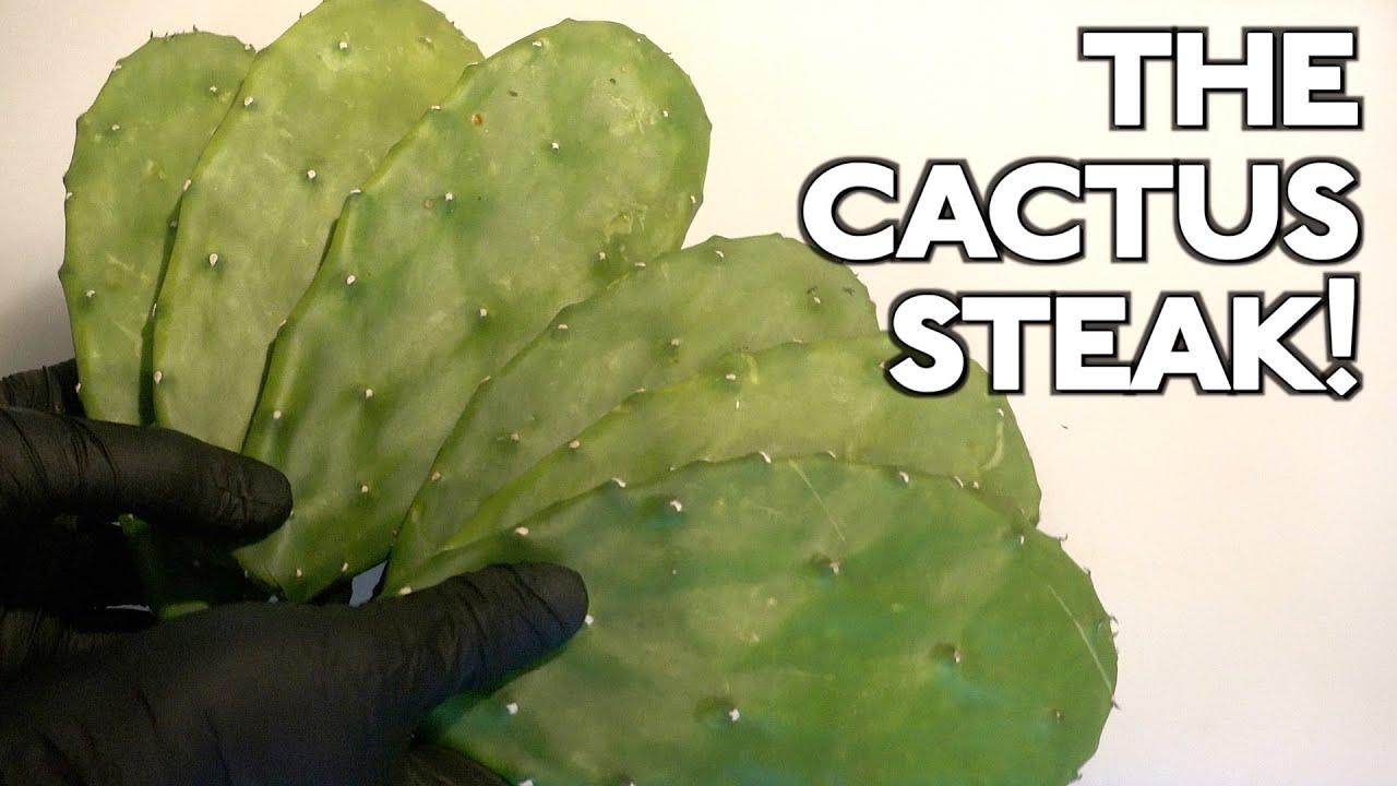 What!? The cactus steak! - YouTube