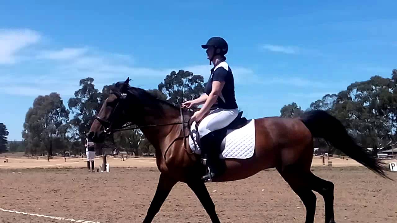 Robyn and Duke competing at Ballarat. - YouTube