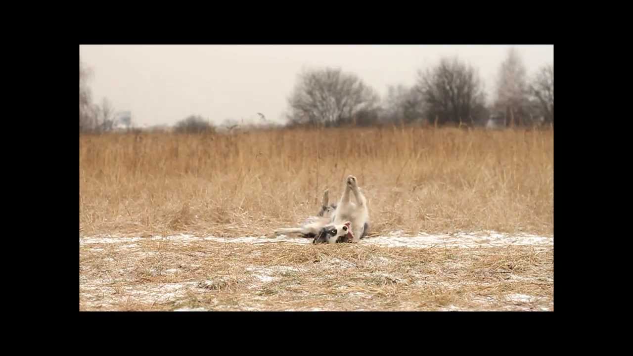 Zoe & Death under march :D - YouTube