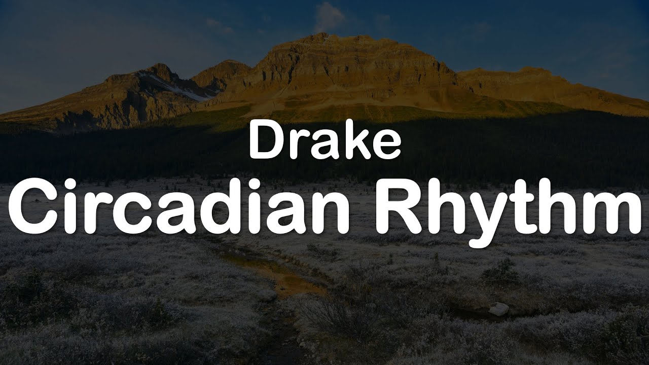 Drake - Circadian Rhythm (Clean Lyrics) - YouTube