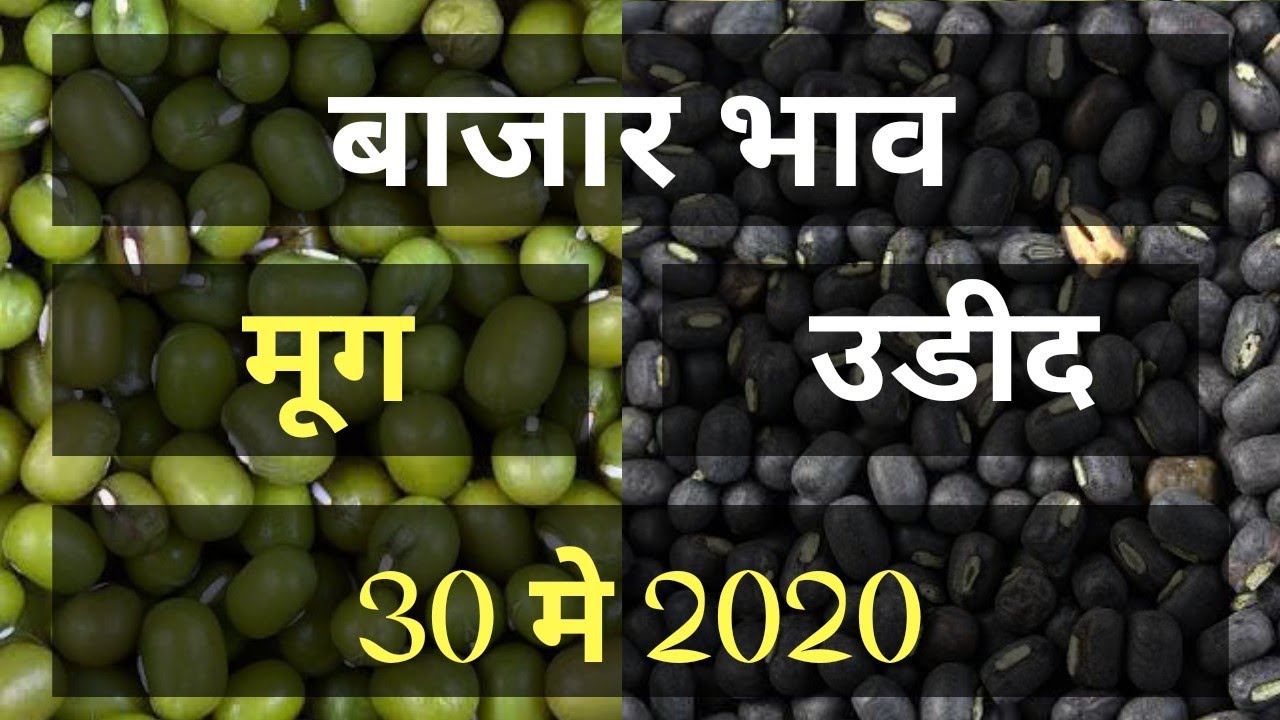 moong-udid-bajar-bhav
