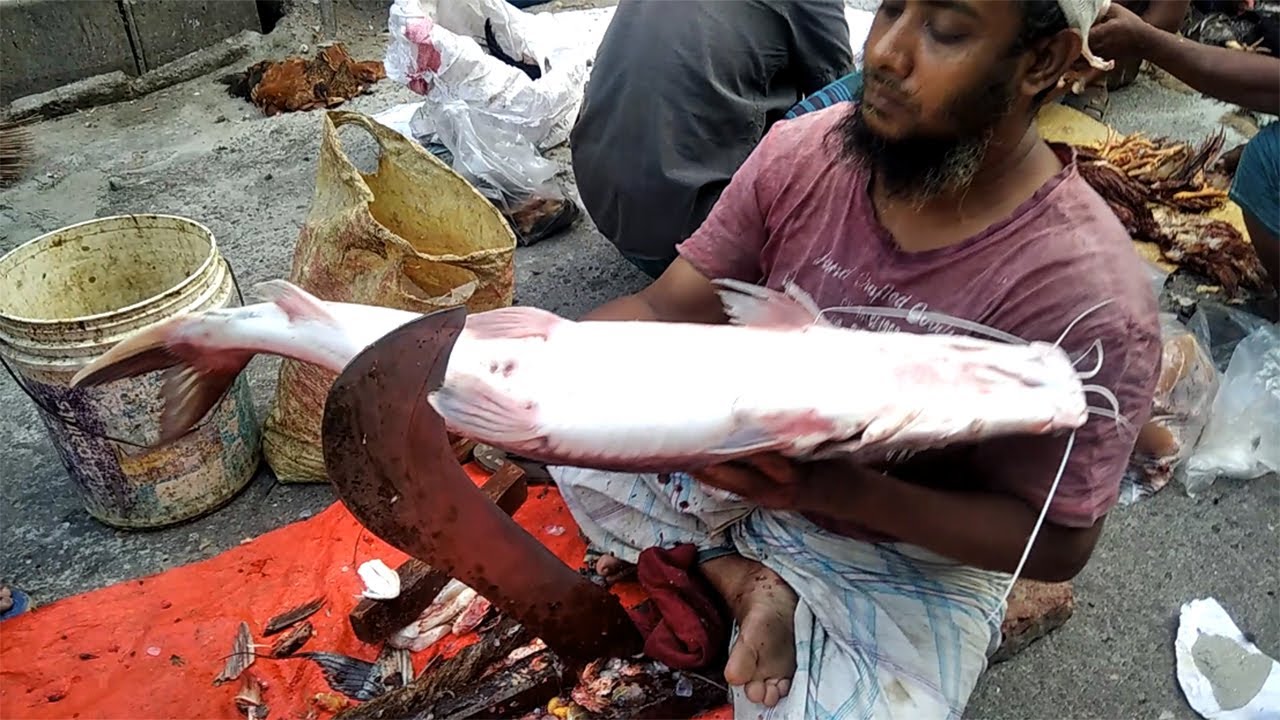 How to A Giant Ayer Fish Cutting Live in Bangladeshi Fish Market #Ayer ...