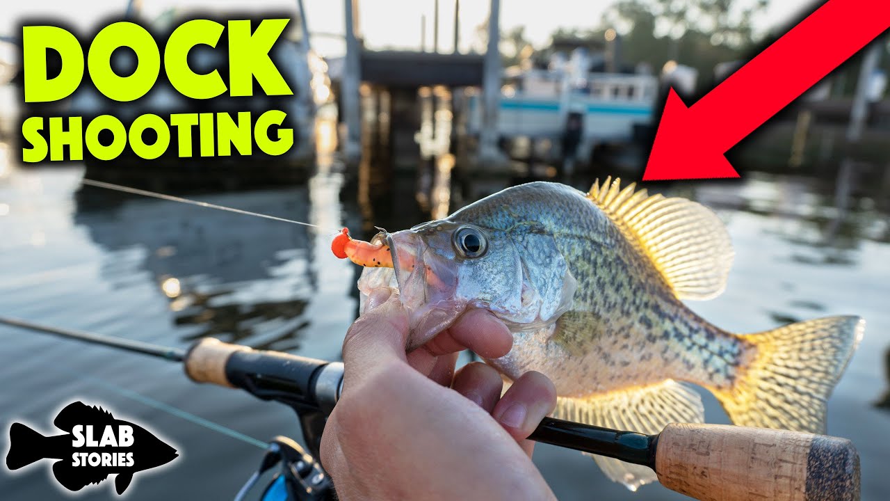 DOCK SHOOTING For Crappie In A Kayak! - YouTube