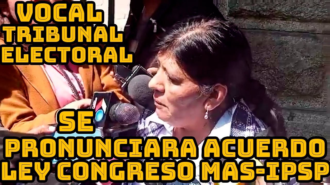 VOCAL TSE DE BOLIVIA NELLY ARISTA ESPERAN NOTIFICACIÓN FORMAL SOBRE ...