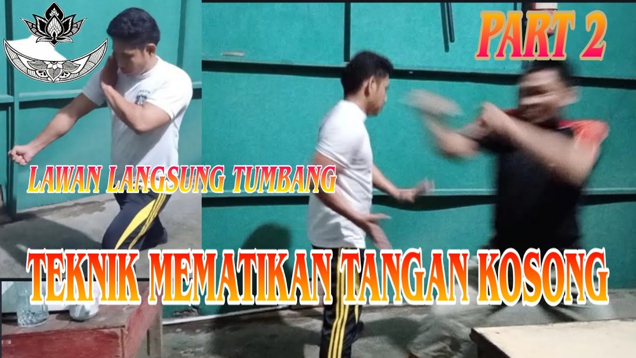Jurus tangan kosong Mematikan part 2 - Satu serangan musuh langsung KO ...