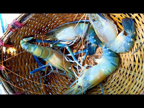 #57 PROWN RECIPE ll PROWN CURRY ll - YouTube