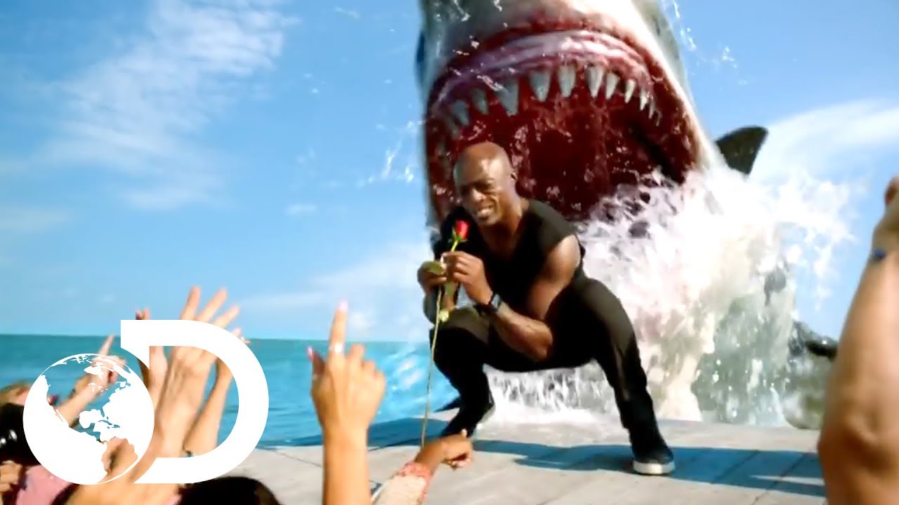 ¡Imperdible! Vuelve Shark Week ¿Te lo vas a perder? | Discovery ...