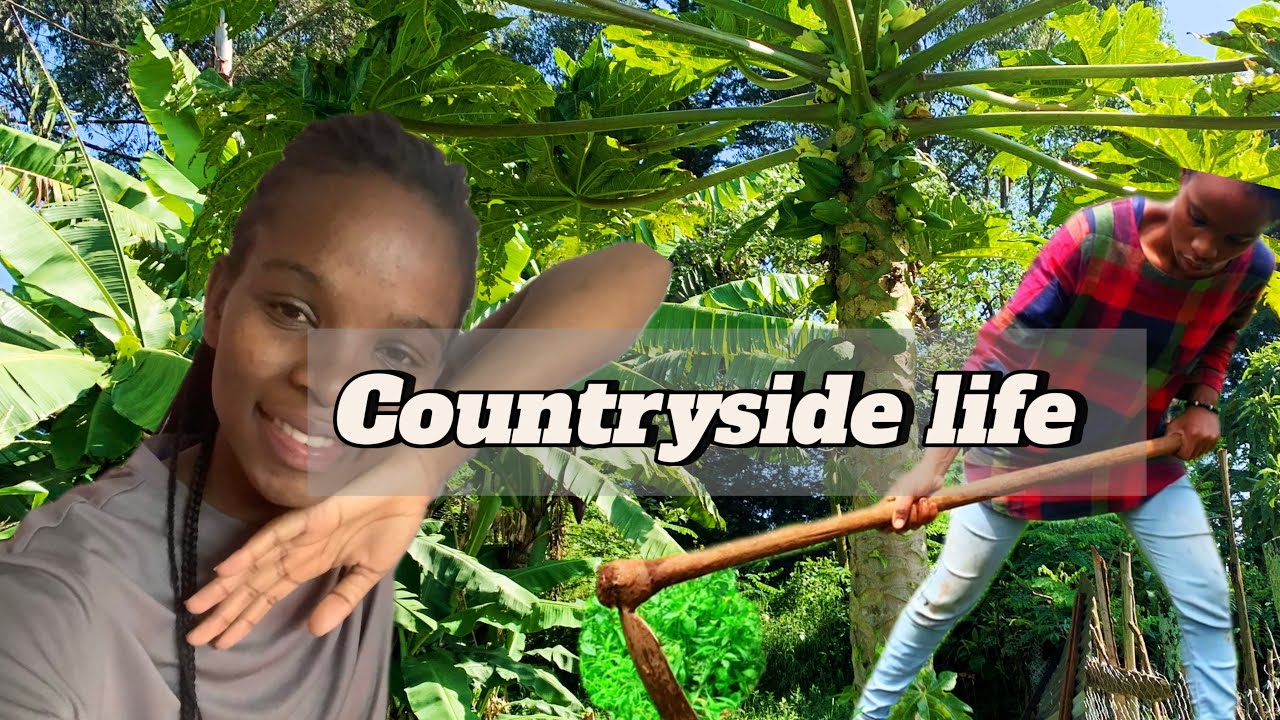 THE COUNTRY SIDE LIFE IN AFRICA - YouTube