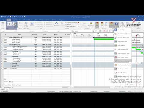 [Synchro PRO Basic] Gantt display settings - YouTube