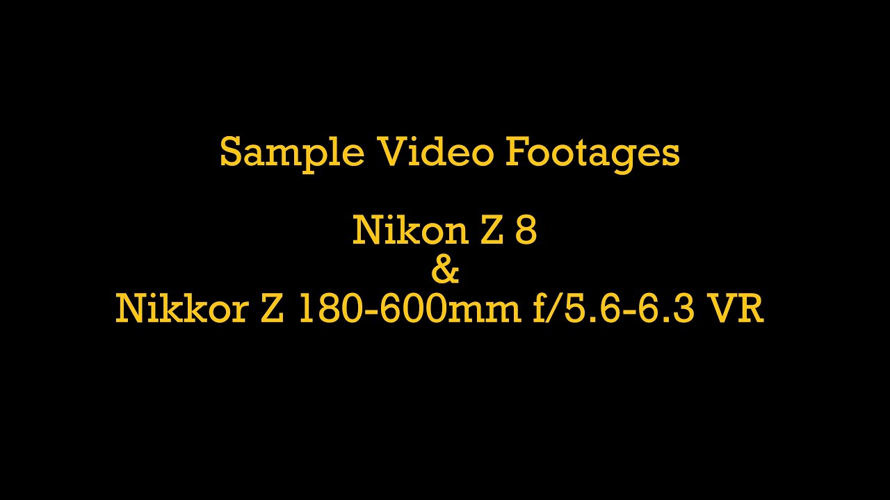 Sample Video Footages: Nikon Z8 & Nikkor Z 180-600mm f/5.6~6.3 VR - YouTube