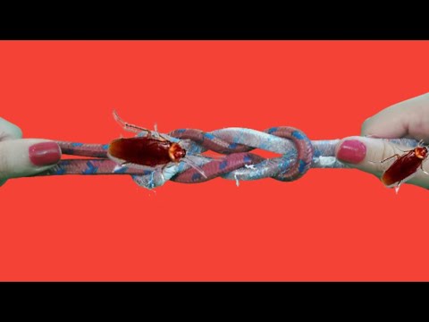 smart people know these complicated knots | knotting method, rope ...