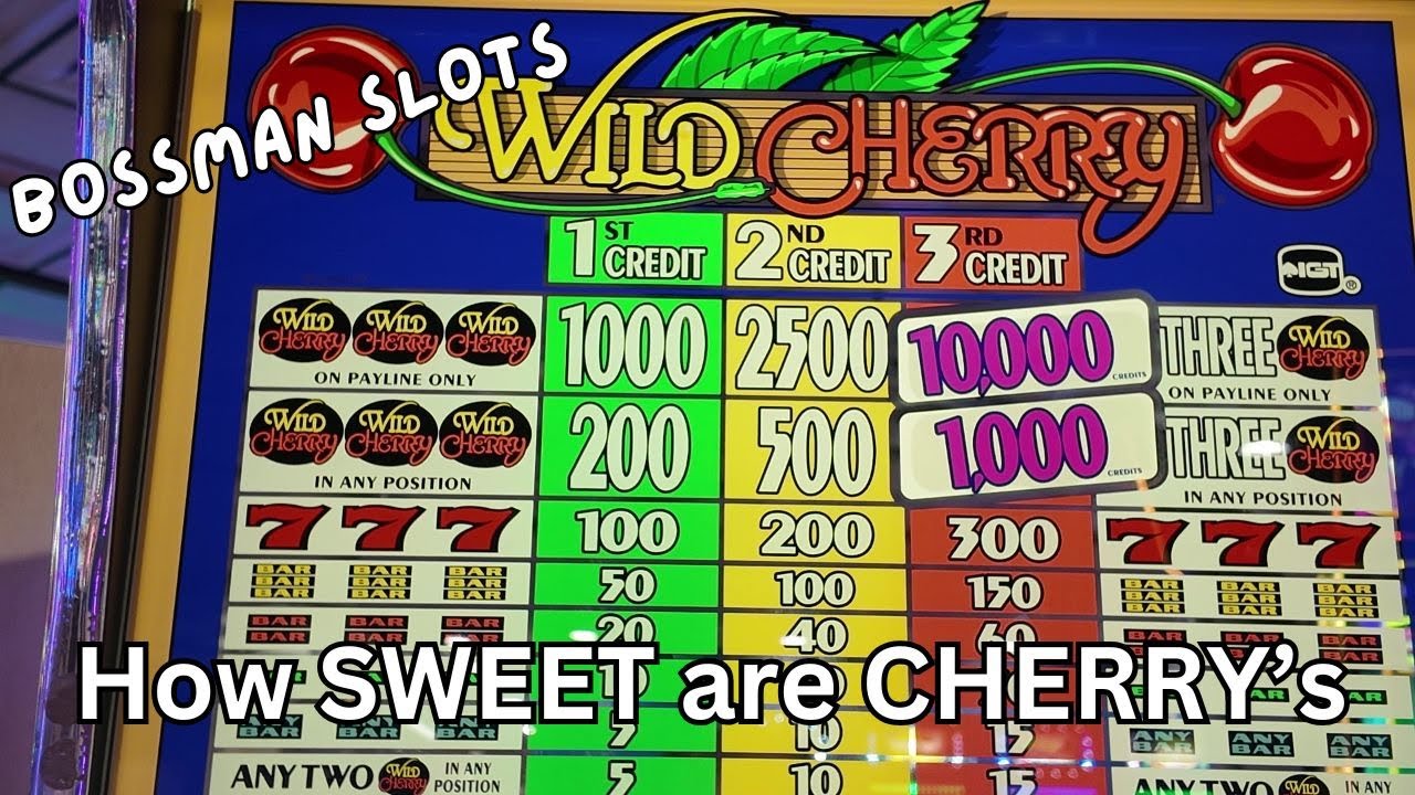 Spinning for a WIN on Wild Cherry Slot Machine - YouTube