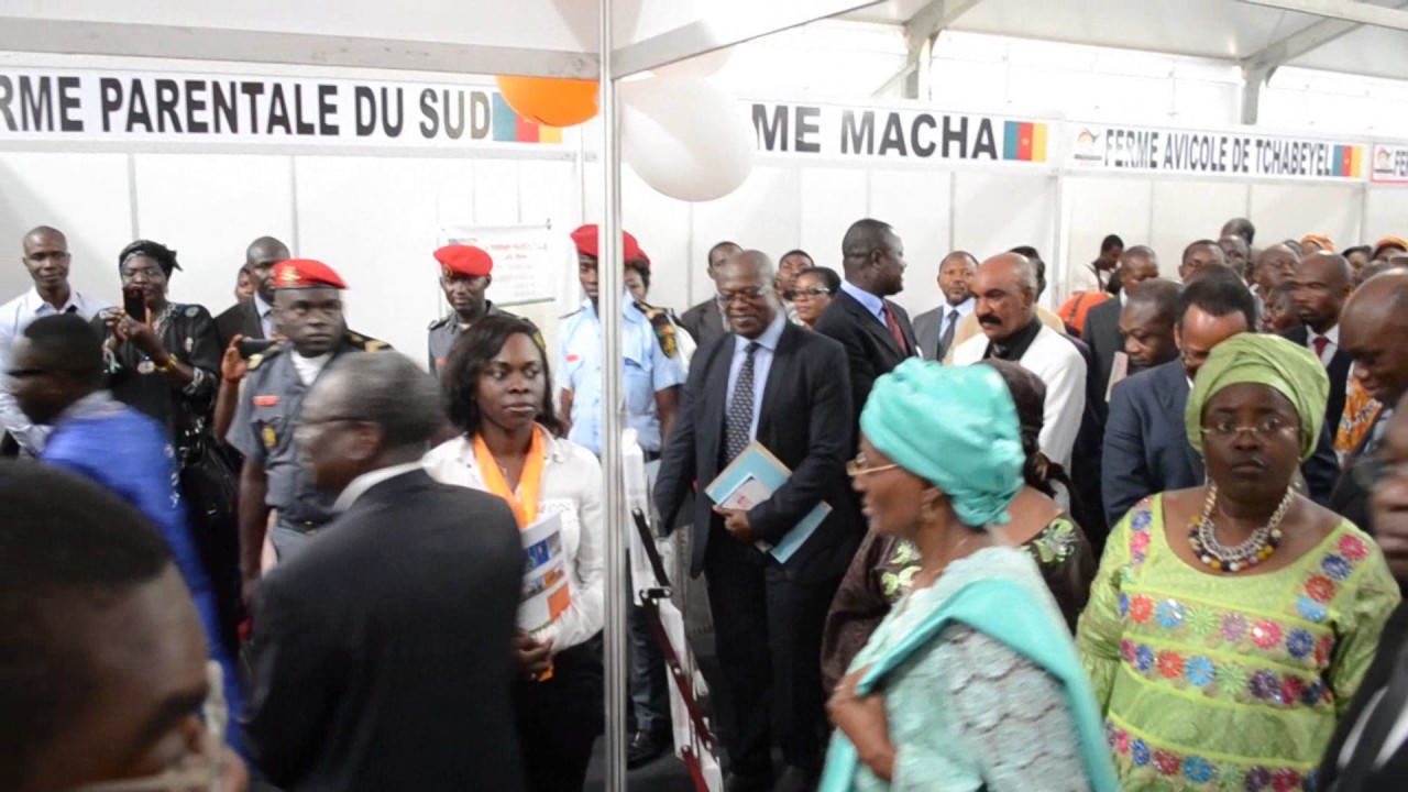 Clip SAVI Cameroun 2016 - YouTube