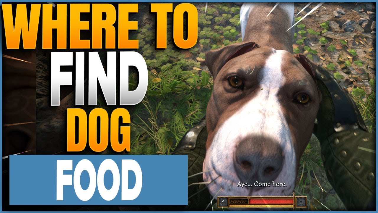 Where To Find Food To Feed The Dog In Kingdom Come Deliverance 2 - YouTube