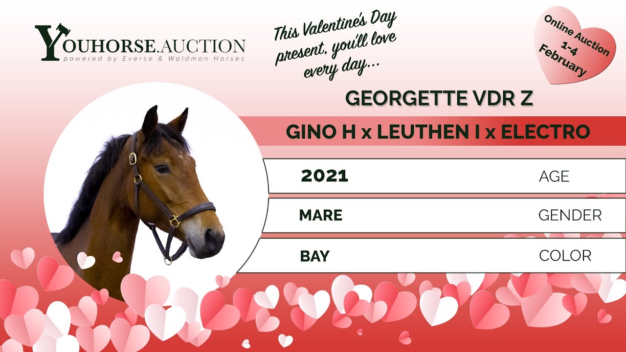 Georgette VDR IN THE ‘VALENTINE EDITION' YOUHORSE.AUCTION LOOSE JUMPING ...