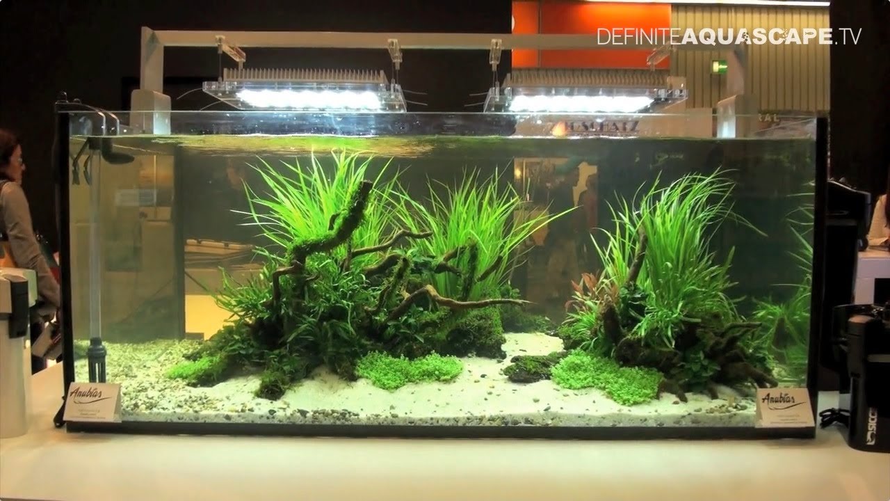 Aquascape E-Shop