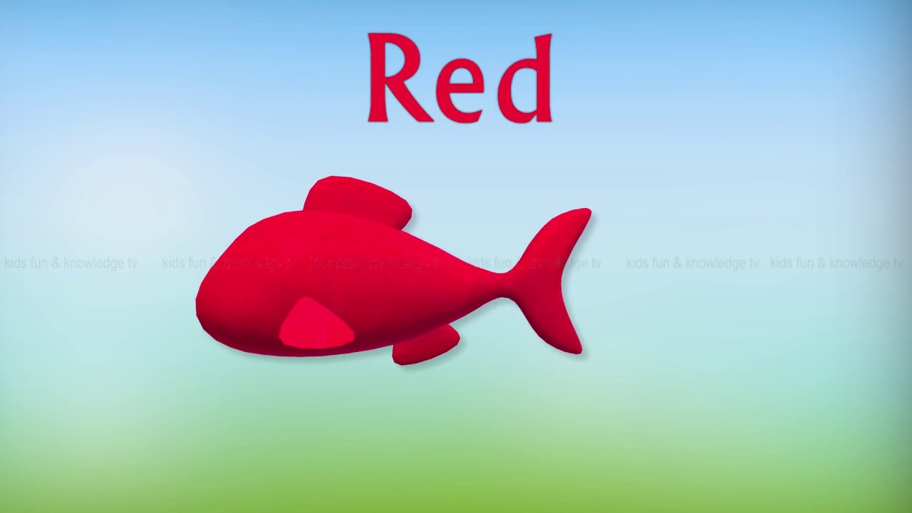 Learn Colors Fish for Kids Knowledge - YouTube