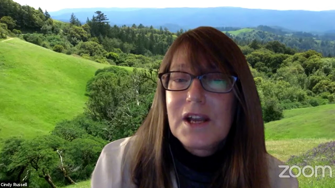 Cindy Russell's Testimony on Cell Tower Radiation, to City of Ithaca ...