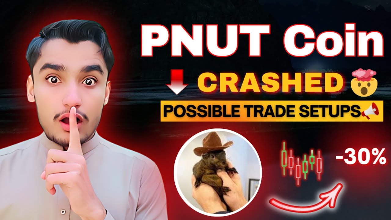 PNUT Coin Price prediction and News Today | PNUT Coin Crashed | PNUT ...